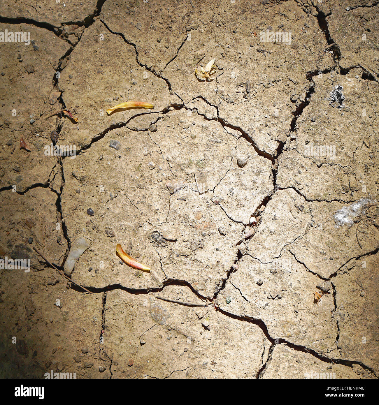 Drought earth hi-res stock photography and images - Alamy