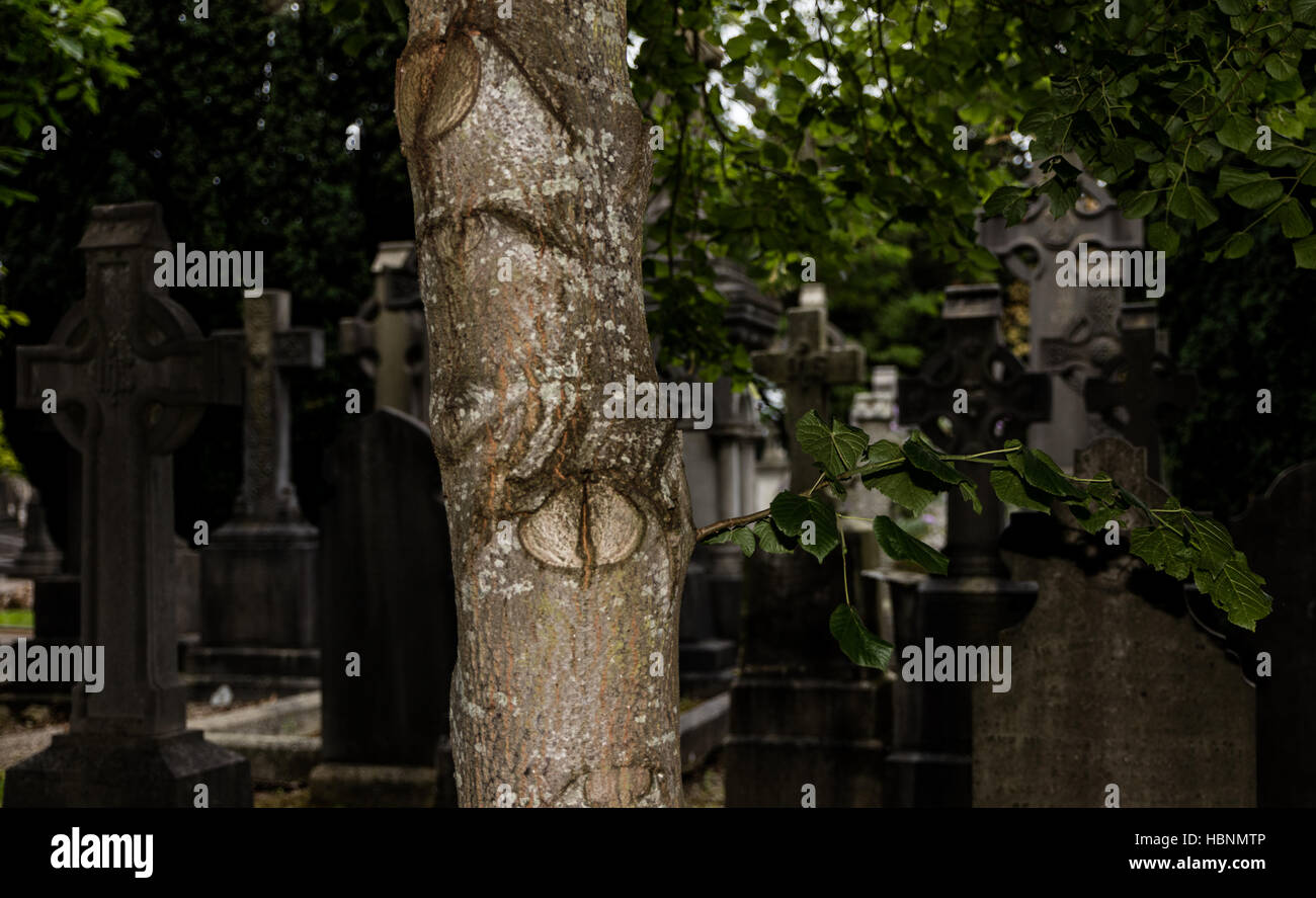 Tree in cemetery Stock Photo - Alamy
