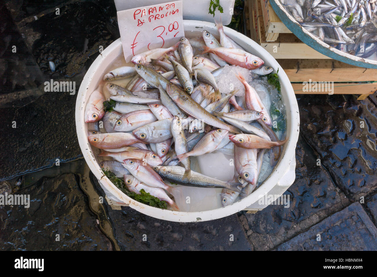 Dish of paranza Stock Photo - Alamy