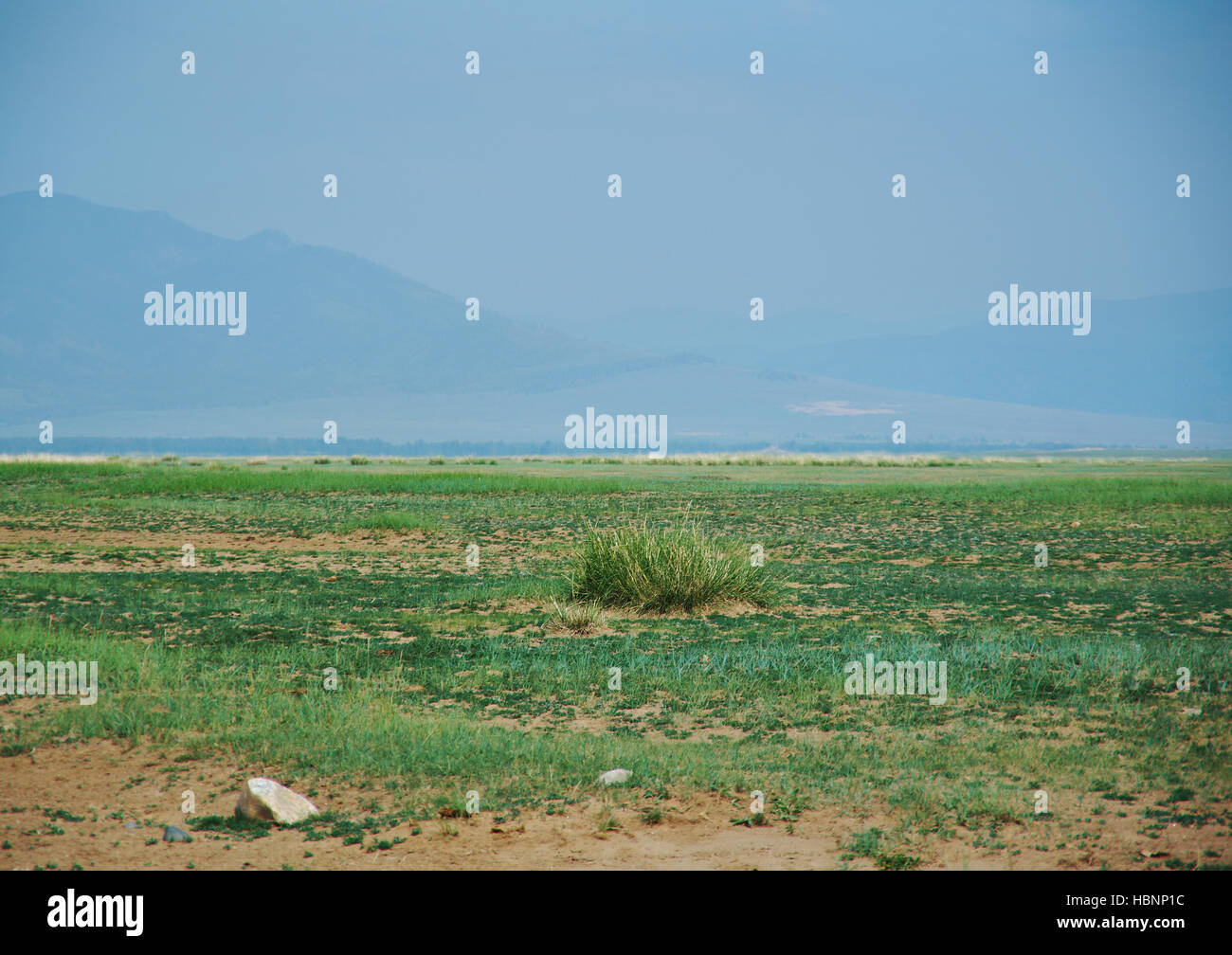 Steppe on a background of mountains Stock Photo - Alamy