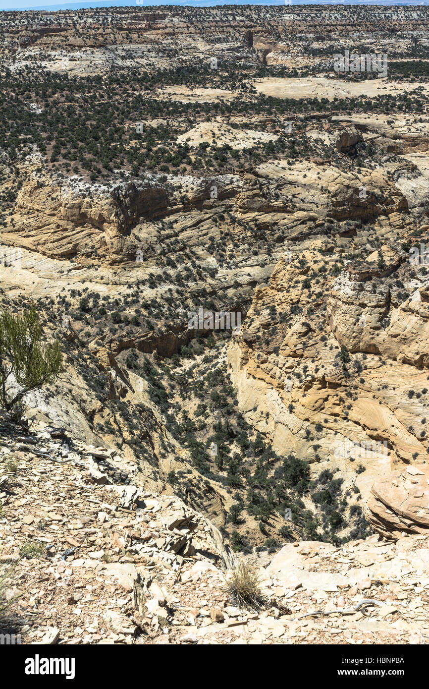 Wash with soil hi-res stock photography and images - Alamy