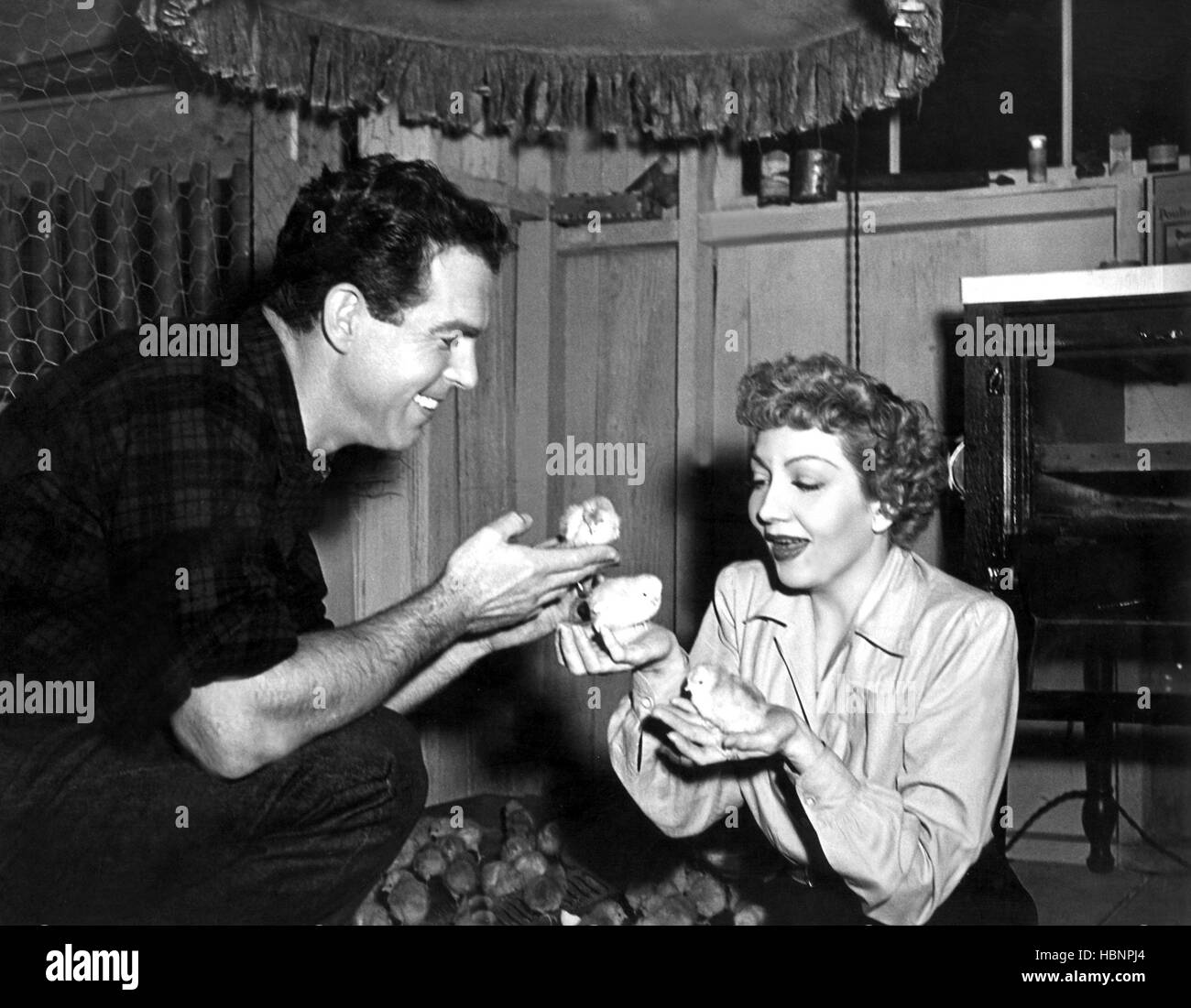 THE EGG AND I, Fred MacMurray, Claudette Colbert, 1947 Stock Photo - Alamy