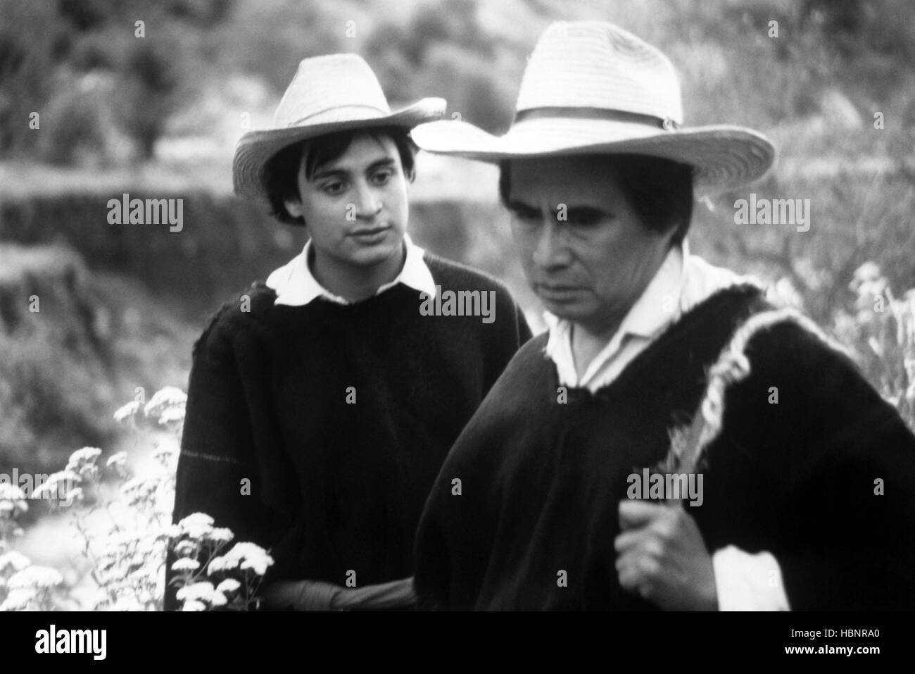 EL NORTE, David Villalpando, Ernesto Gomez Cruz, 1983, (c) Cinecom ...