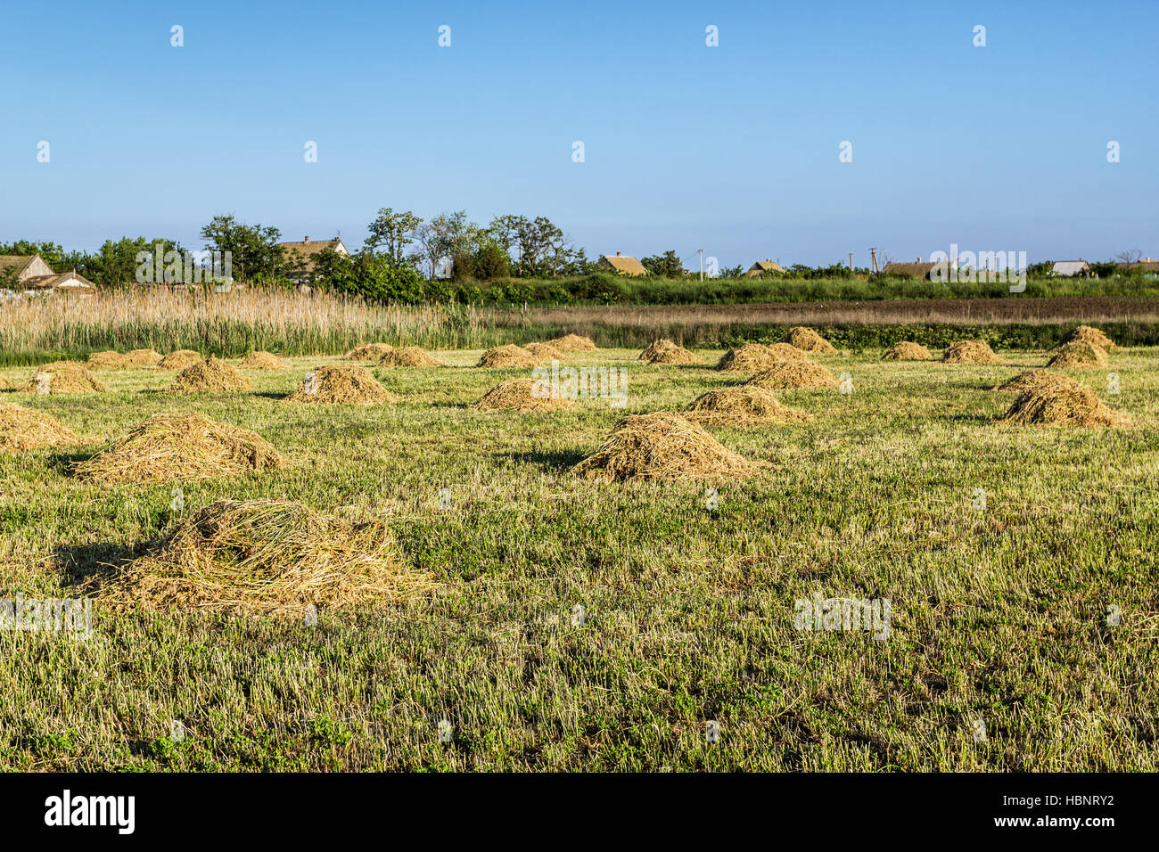 Hay ricks hi-res stock photography and images - Alamy