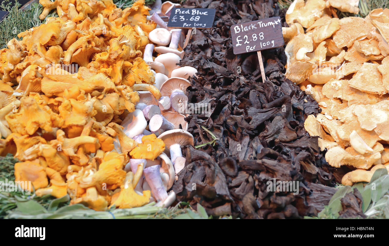 Mushroom mix hi-res stock photography and images - Alamy
