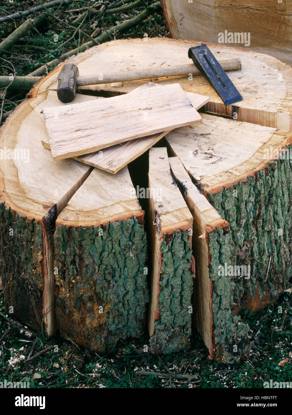 Split oak shingles hi-res stock photography and images - Alamy