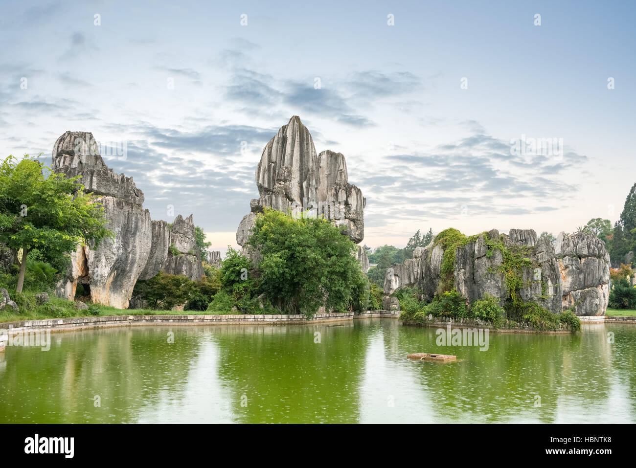 stone forest scenic Stock Photo - Alamy