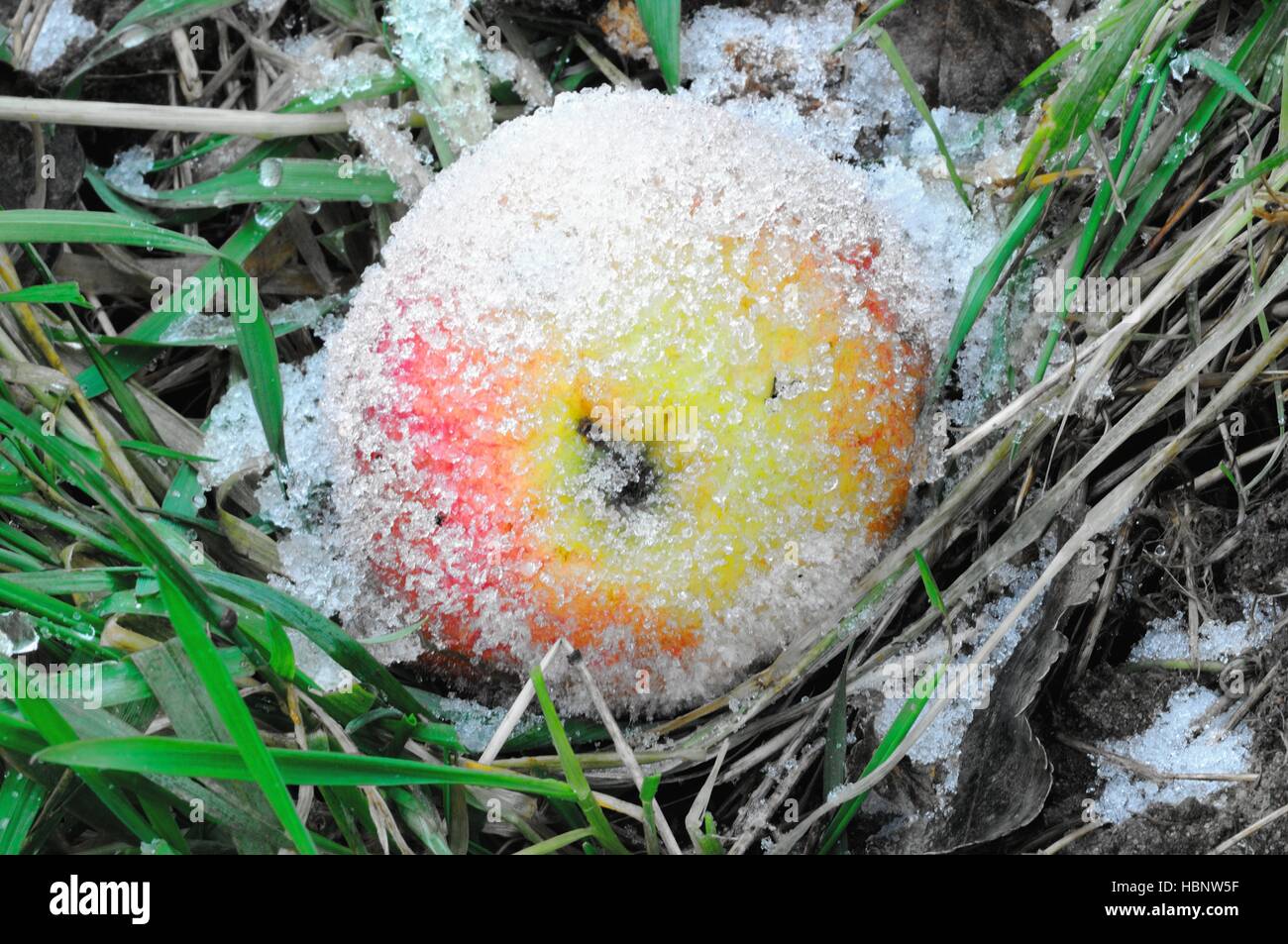 Cooled cold hi-res stock photography and images - Alamy
