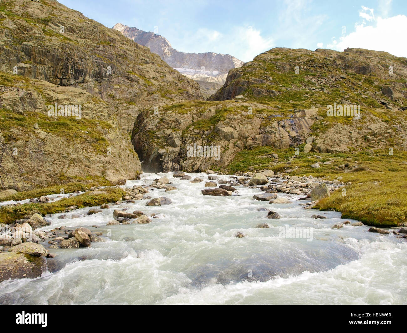 Stream spring water in grass hi-res stock photography and images - Alamy