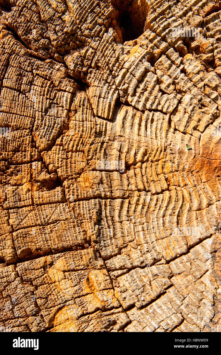 brown wood texture Stock Photo - Alamy