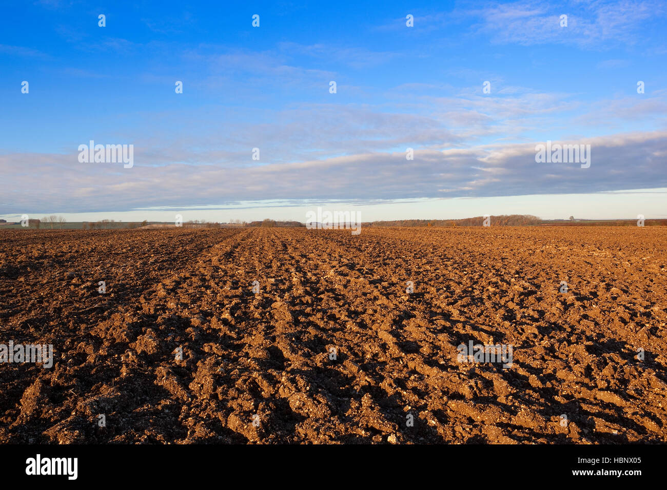 Walking plow hi-res stock photography and images - Alamy