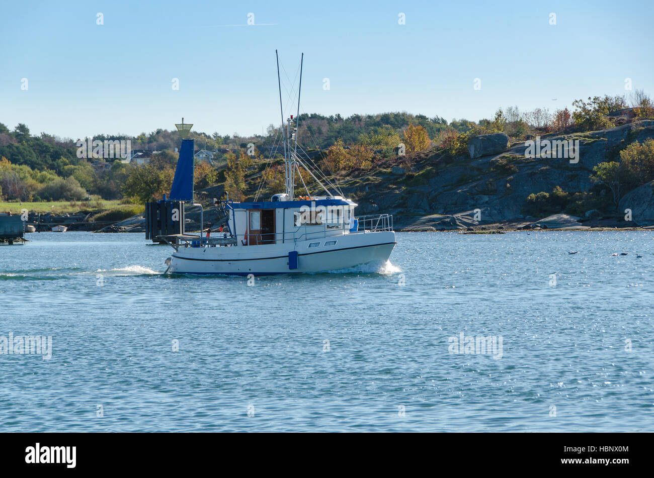 Ocean going fish hi-res stock photography and images - Alamy