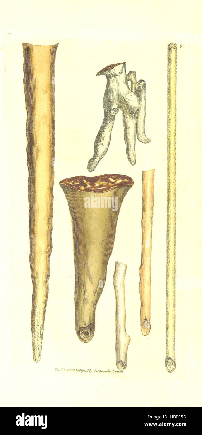 Illustration of British minerals, showing specimens, colors, crystal ...