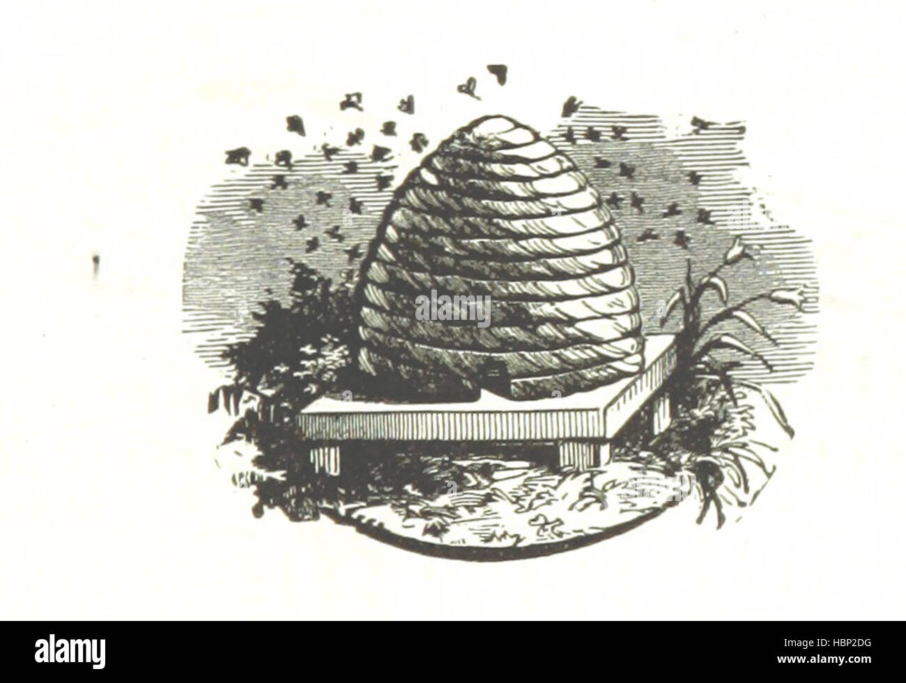 Map of buchanan hi-res stock photography and images - Alamy