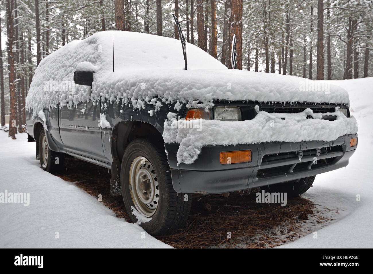 First snowfall hi-res stock photography and images - Alamy