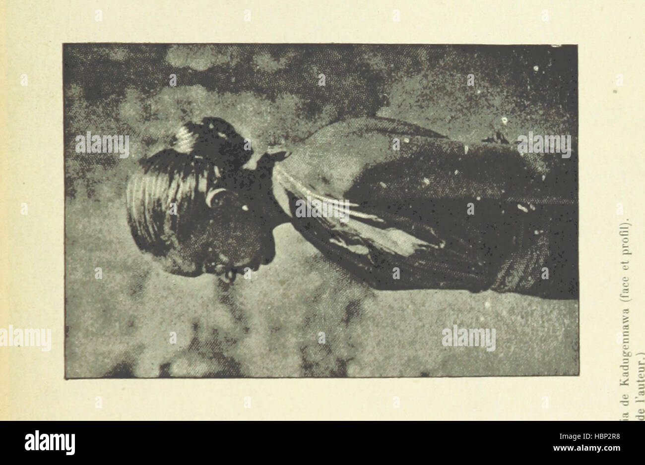 This image from 'Carnet d'un voyageur' depicts the author's travel ...