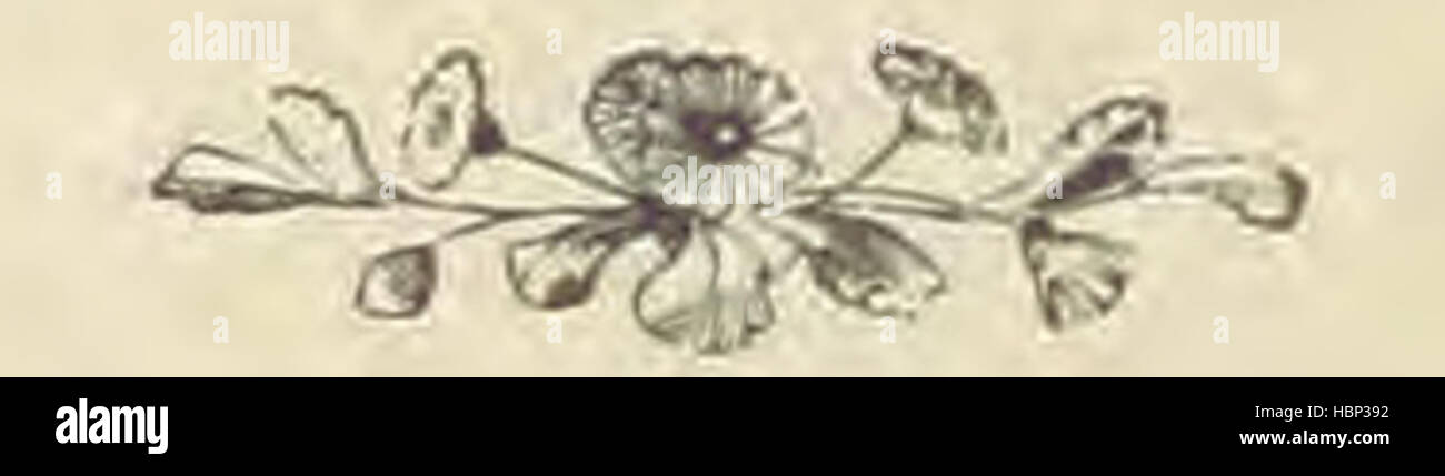 Illustration showing the National Moore Centenary, including ...