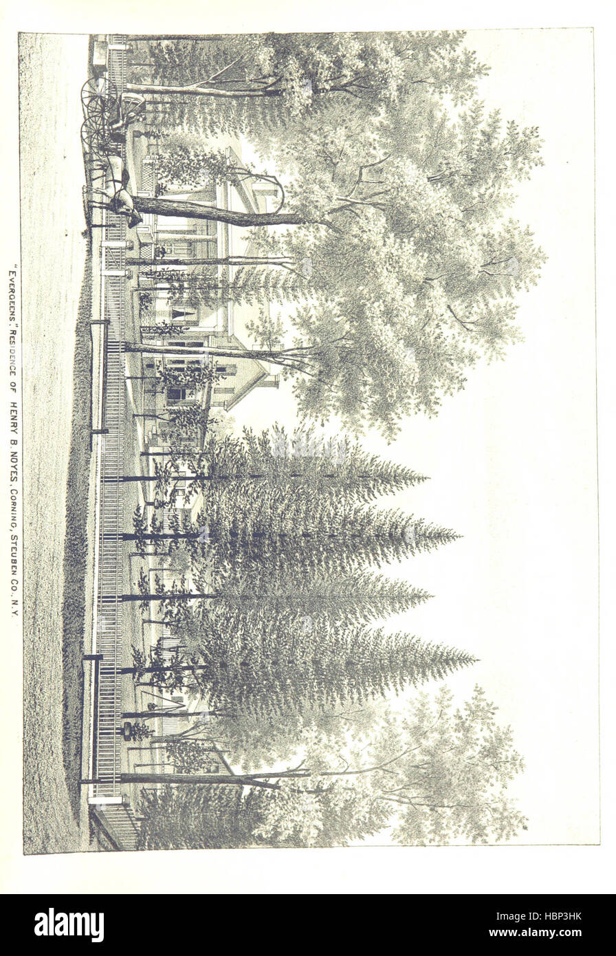 History of Steuben County, New York, with illustrations and ...