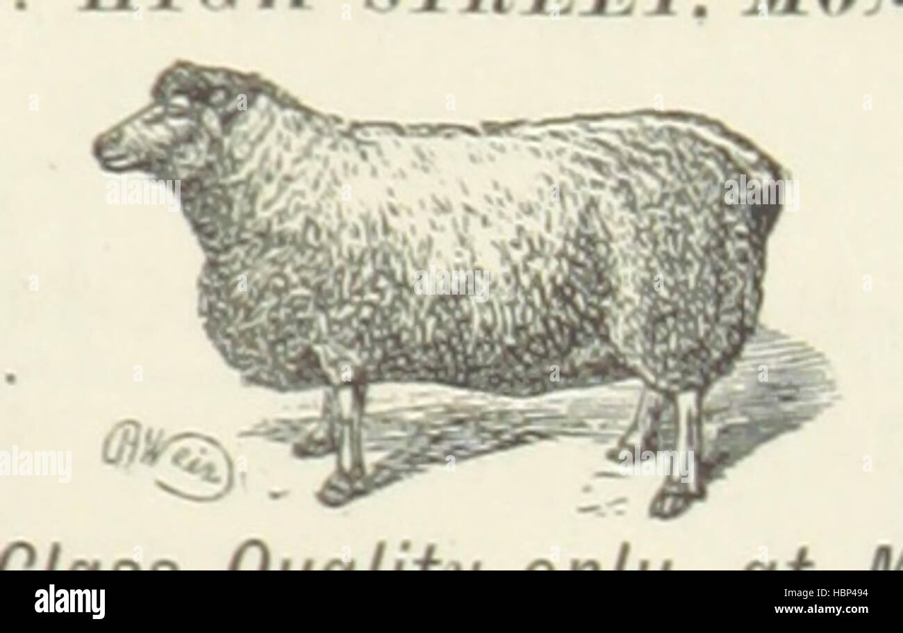 Carnoustie and its Neighbourhood. With eight illustrations and a map ...