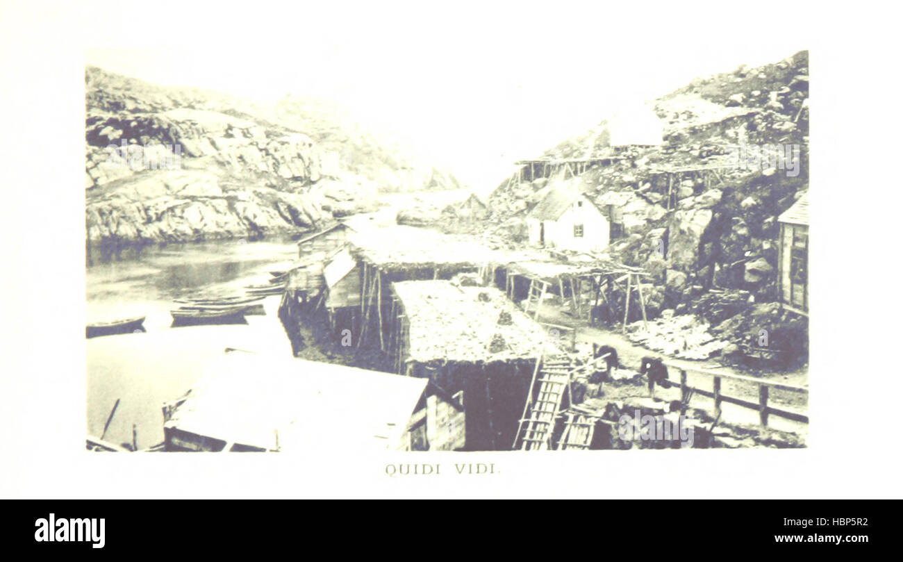 This page presents historical content from 'A History of Newfoundland ...