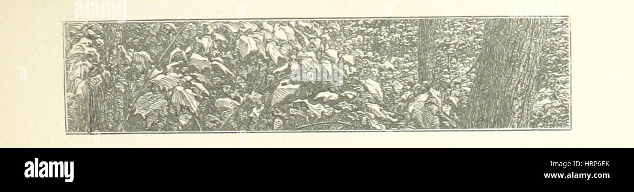 Love-Lore and other early and late poems Image taken from page 149 of ...