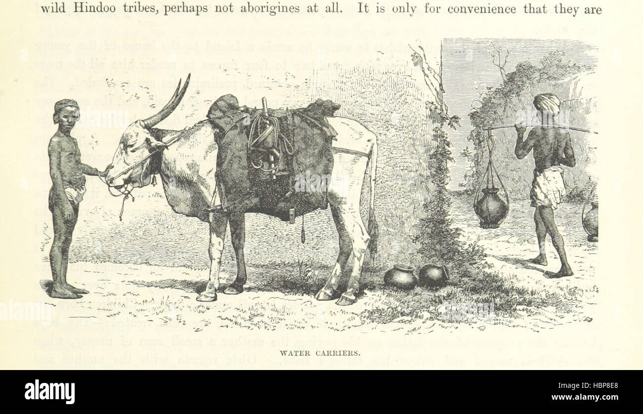 Principal varieties of mankind hi-res stock photography and images - Alamy