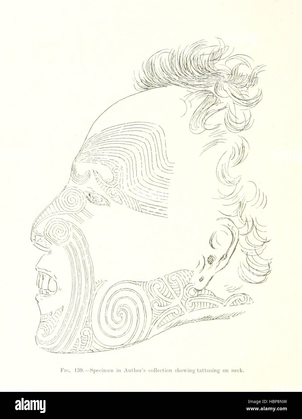 The illustration depicts Maori moko tattooing, showing traditional ...