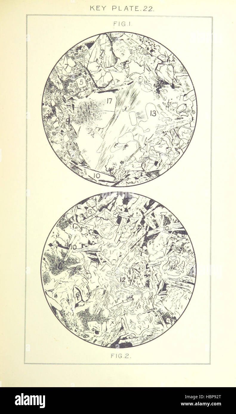 This page contains illustrations and text from 'British Petrography ...