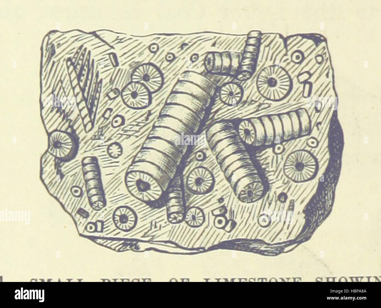 This image depicts physical geography features including mountains ...