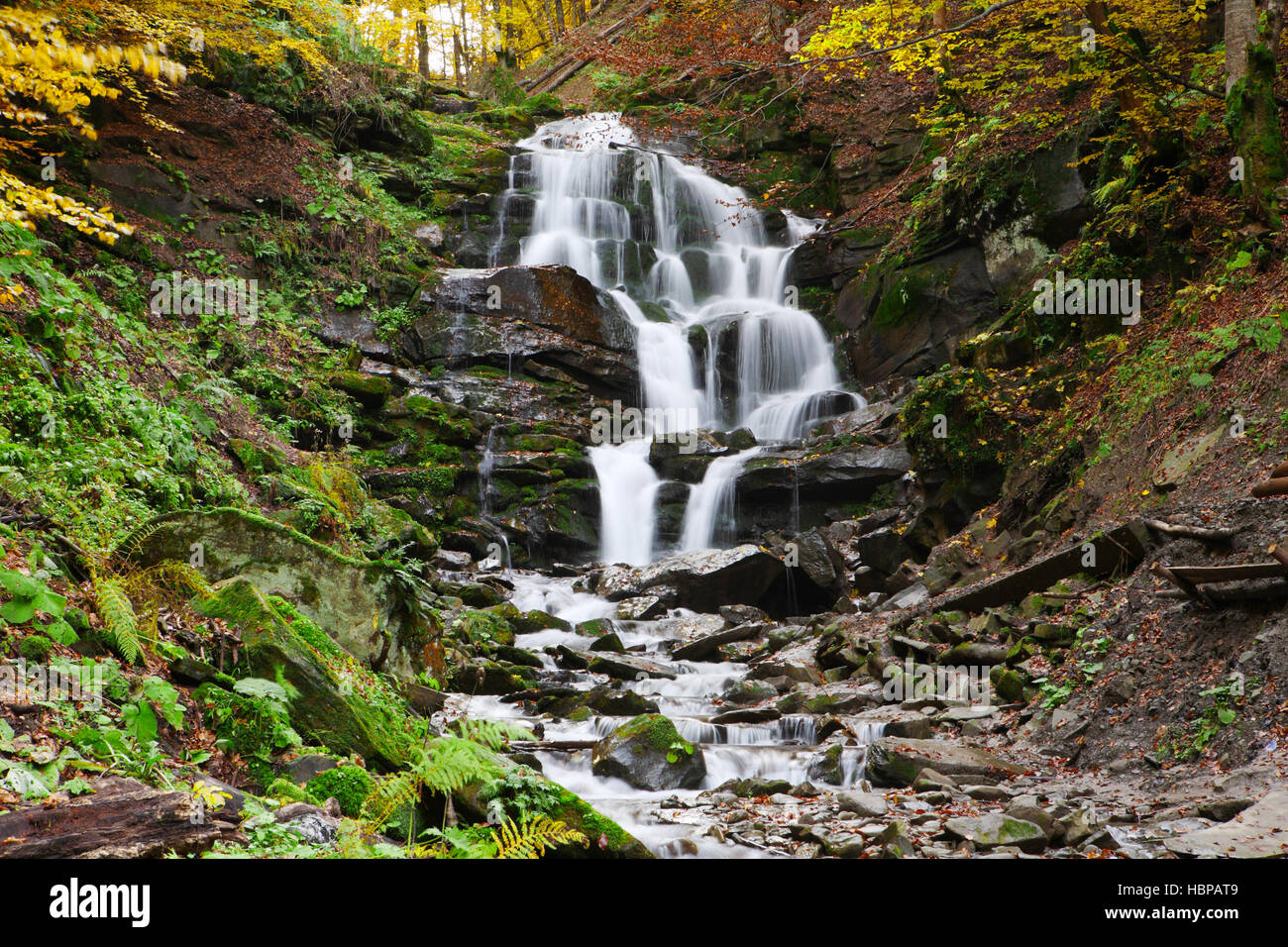 Beautiful view of the waterfall in the beech forest in the golden ...