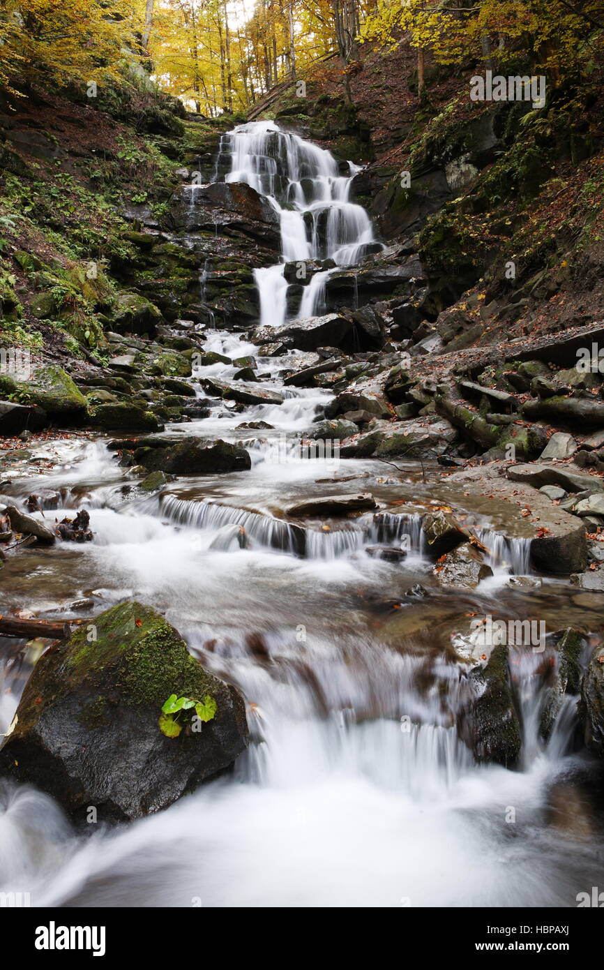 Beautiful view of the waterfall in the beech forest in the golden ...