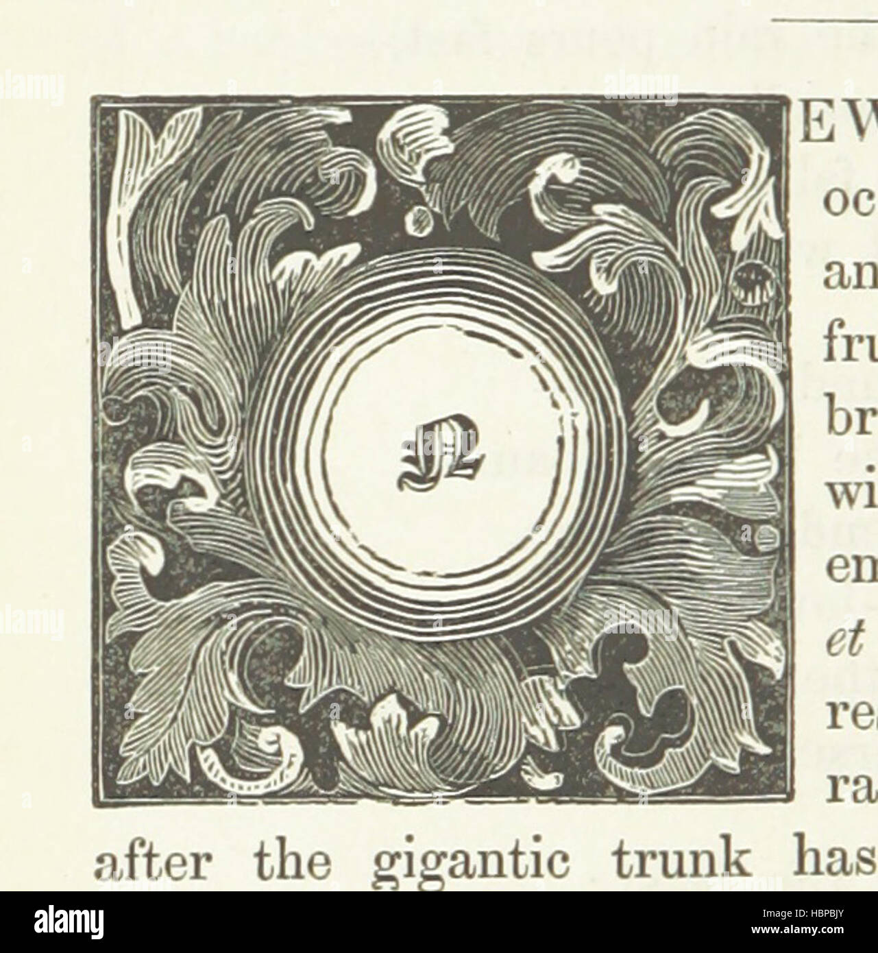 This image from page 678 of 'The Local Historian's Table' depicts ...