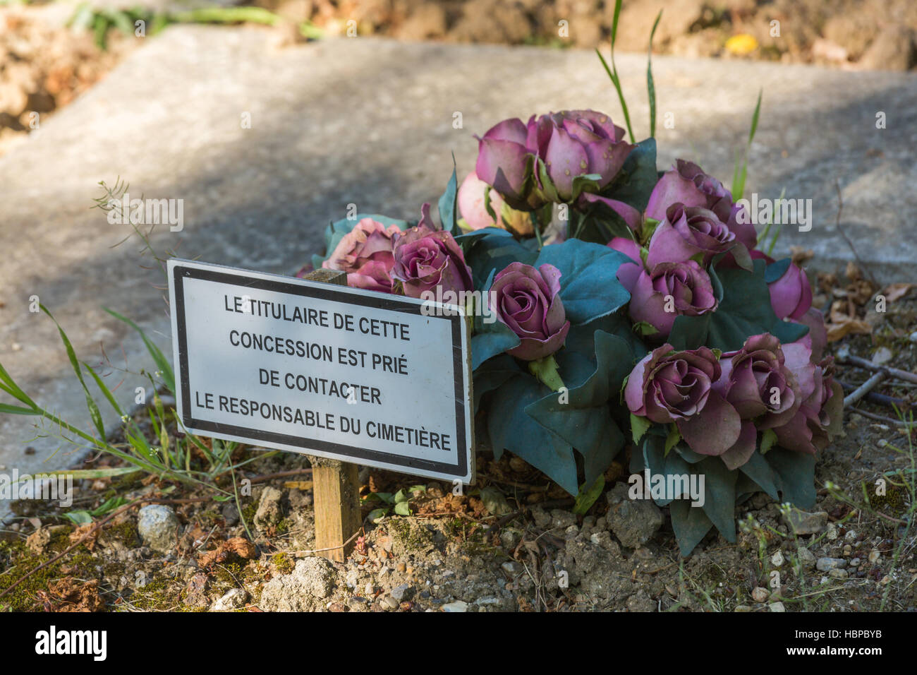 Flowers grave gravesite cemetery hi-res stock photography and images ...