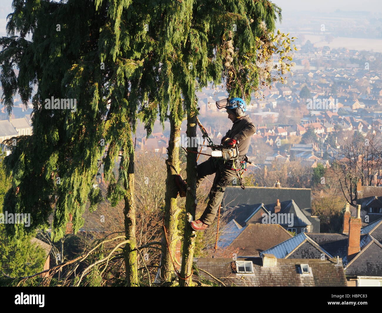 Cutting top off hi-res stock photography and images - Alamy