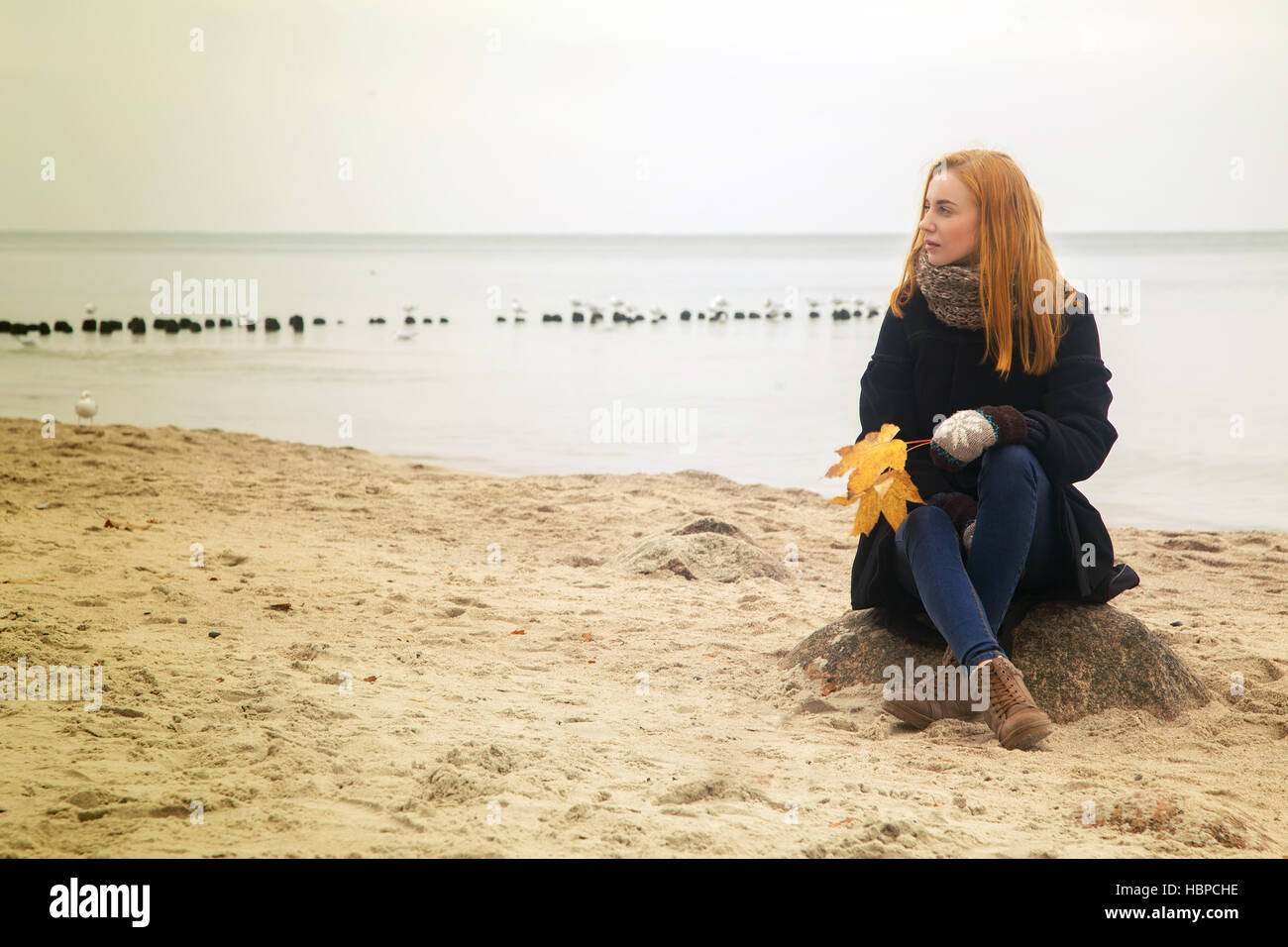 Sad seagull hi-res stock photography and images - Alamy