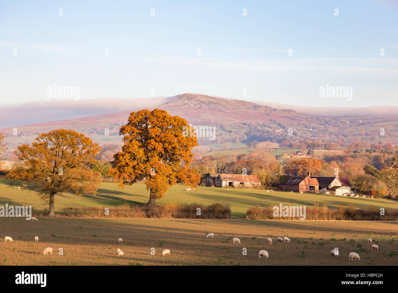 Titterstone clee hill distant hi-res stock photography and images - Alamy