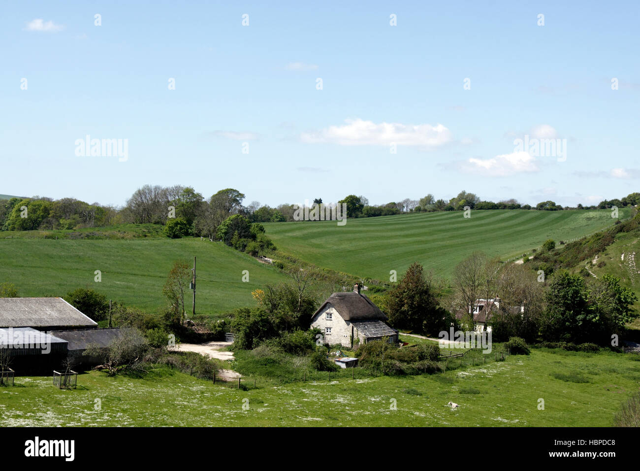 DORSET COUNTRYSIDE LANDSCAPE IN EARLY SPRING. ENGLAND UK Stock Photo ...