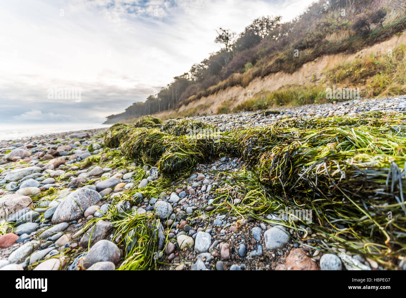 baltic beach germany Stock Photo - Alamy