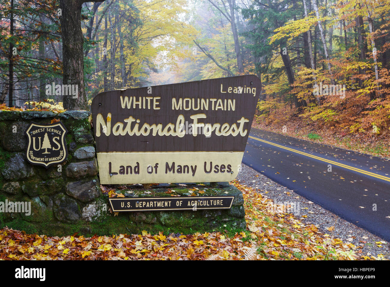 National forest sign hi-res stock photography and images - Alamy