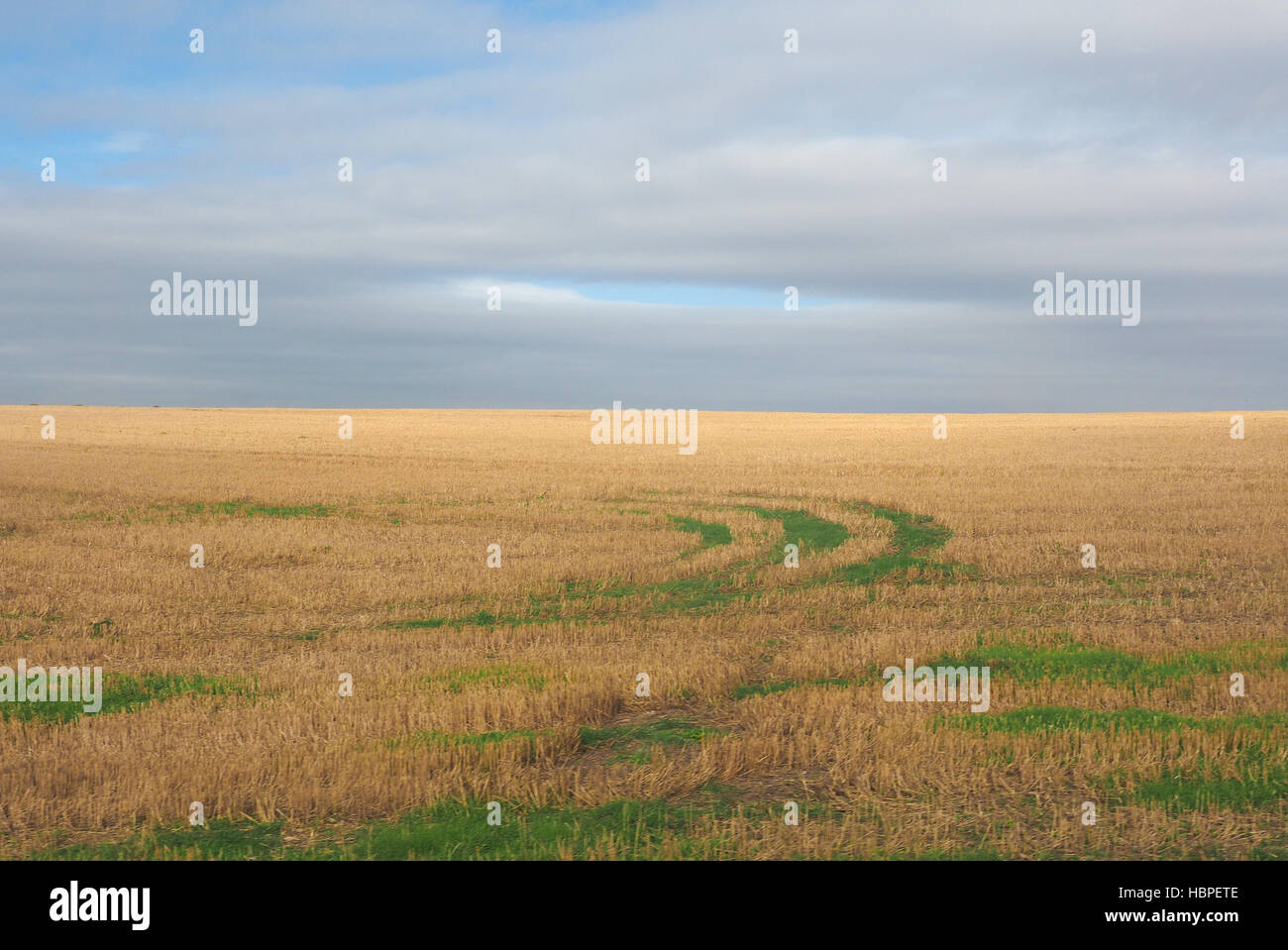 English country panorama in Salisbury Stock Photo - Alamy