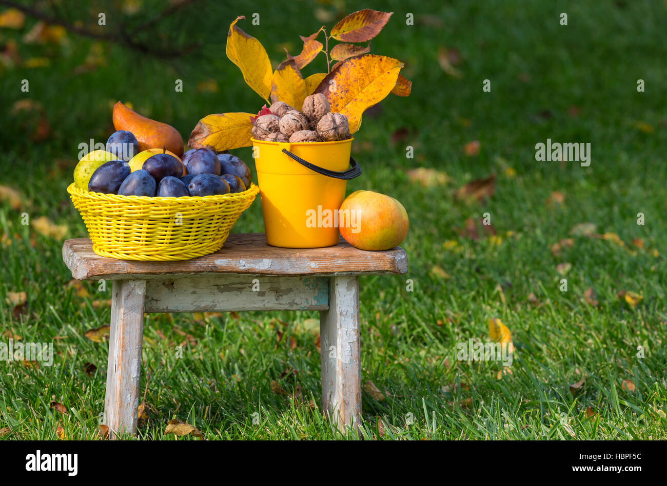 Cheerful outdoor scene hi-res stock photography and images - Alamy