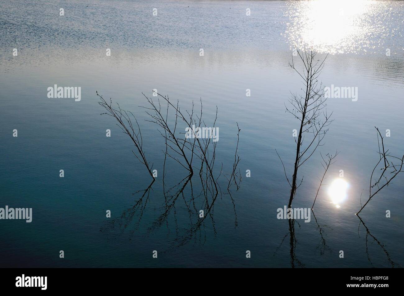 Shadows on water hi-res stock photography and images - Alamy
