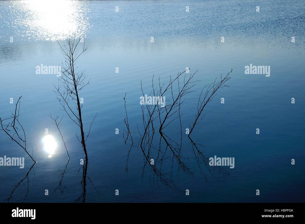 Light and shadow on the water Stock Photo - Alamy