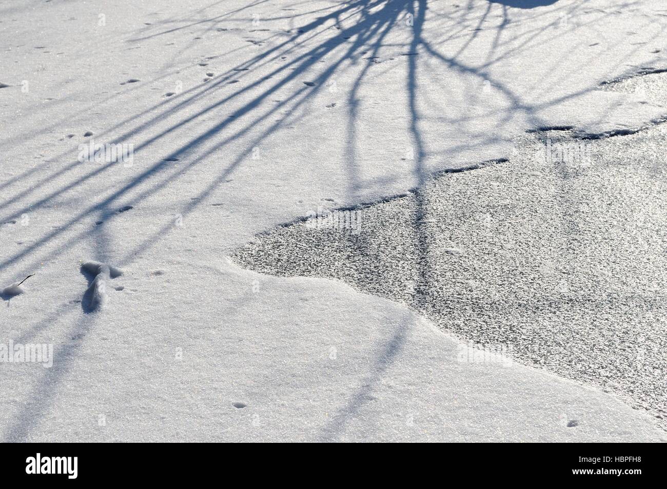 Shadow games at the frozen lake Stock Photo - Alamy