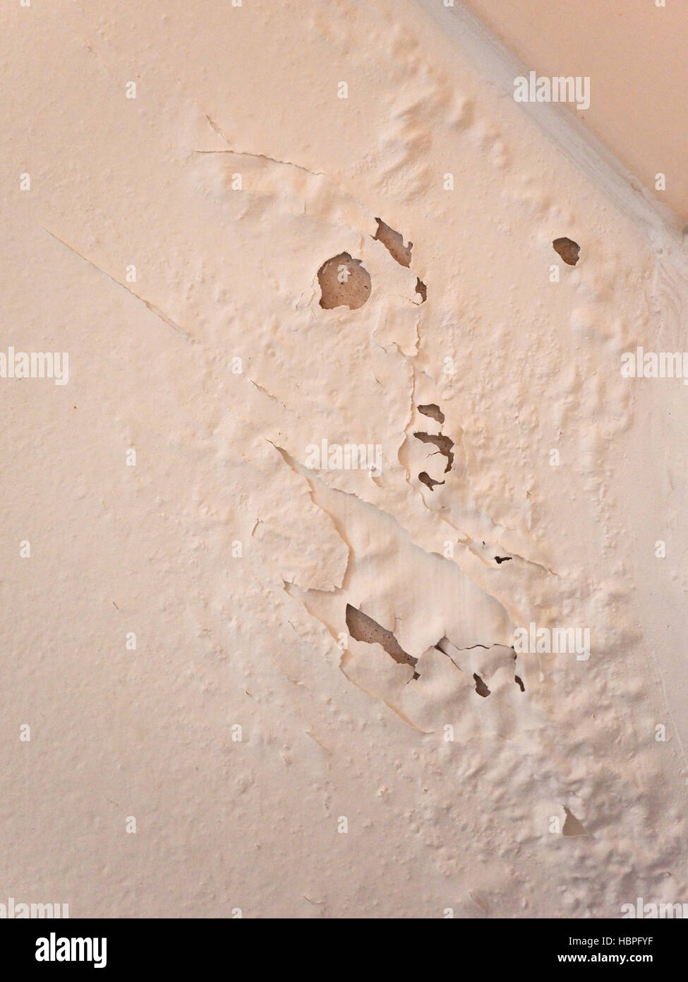 Humidity Damage Stock Photos & Humidity Damage Stock Images - Alamy