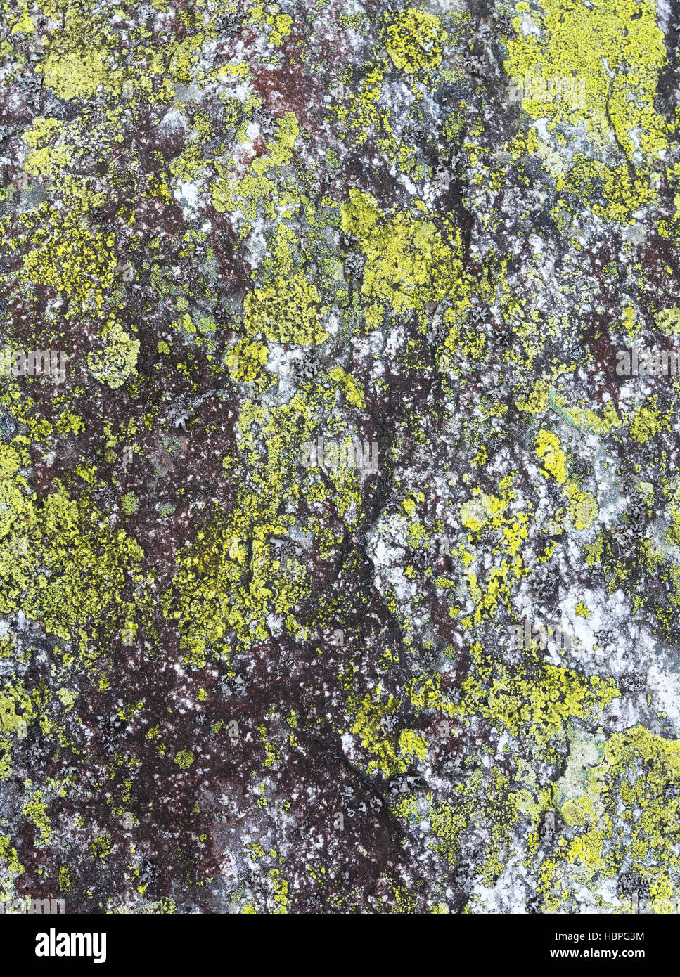 Stone with lichen (background Stock Photo - Alamy