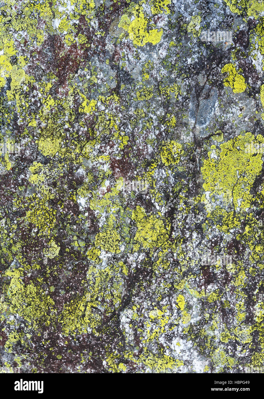 Stone with lichen (background Stock Photo - Alamy