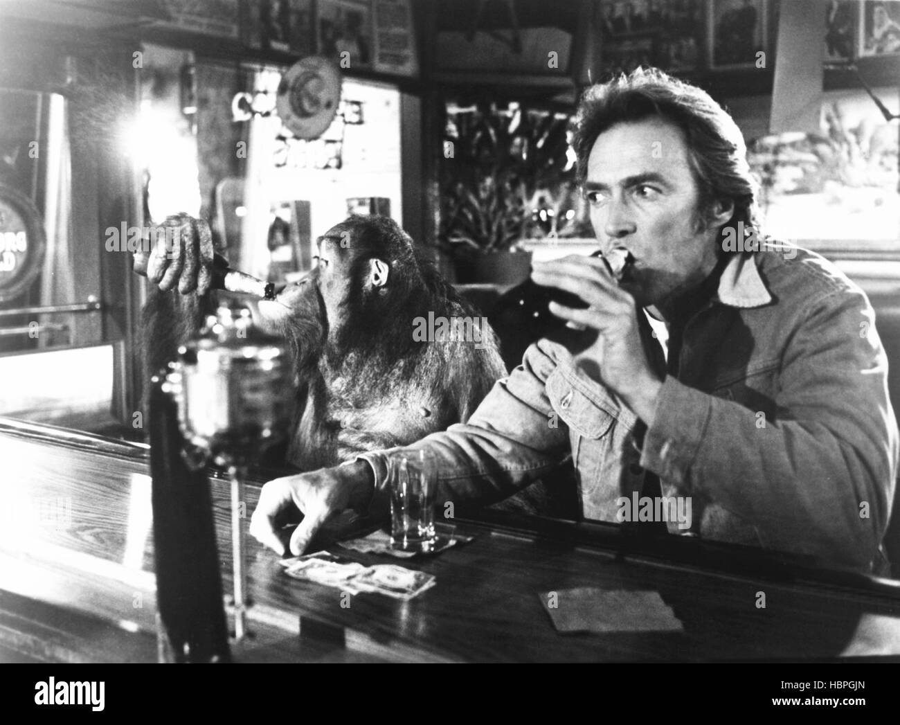 EVERY WHICH WAY BUT LOOSE, from left: Clyde the orangutan, Clint ...