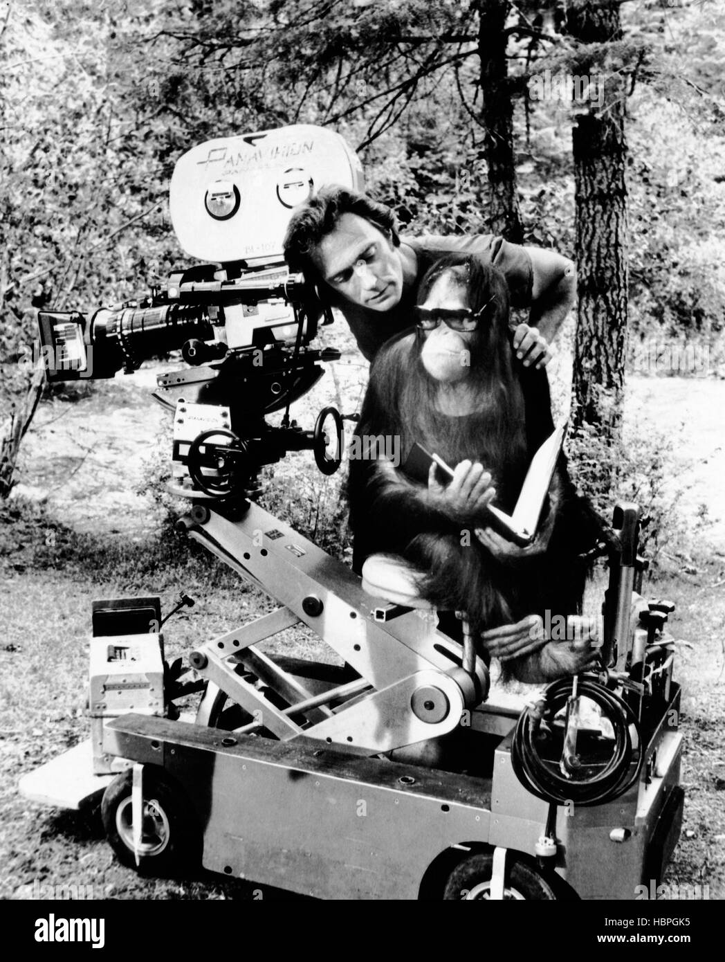 EVERY WHICH WAY BUT LOOSE, Clint Eastwood, Clyde the Orangutan, 1978 ...