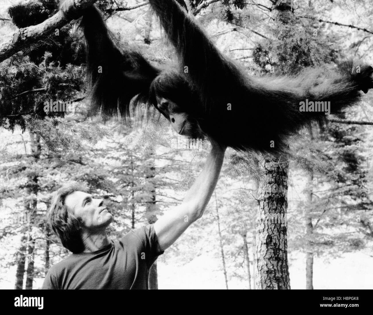 EVERY WHICH WAY BUT LOOSE, Clint Eastwood, Clyde the Orangutan, 1978 ...